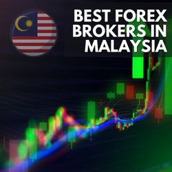 How to Choose the Right Forex Brokers in Malaysia: A Beginner's Guide